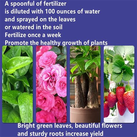 Why Your Plants Need Phosphorus Advantages And 53 OFF