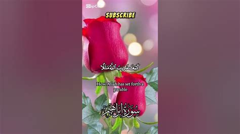 Surah Ibrahim سورہ ابراھیم Relaxingsounds Quranrecitation Tilawat