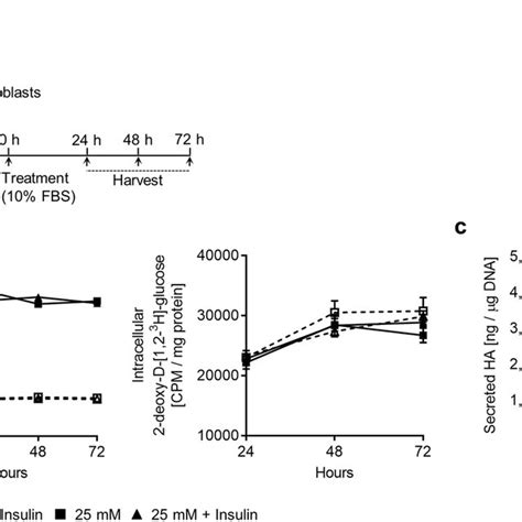 Hyperglycemia Does Not Augment The Glucose Uptake Of Cardiac