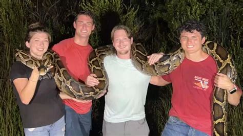 First Time Hunters Capture Record Breaking 19ft Python In Florida