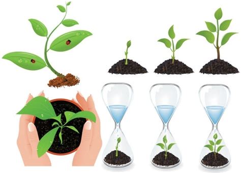 Seedlings Vector Free Vector In Encapsulated Postscript Eps Eps