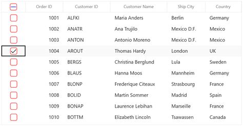 Column Types In WinUI DataGrid Control Syncfusion