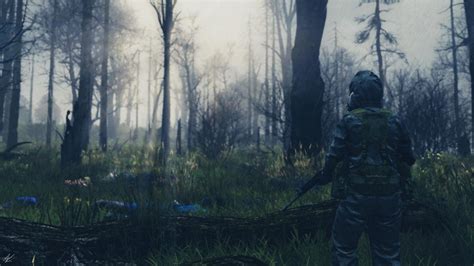 Onlydayz Dayz пиратка сервера