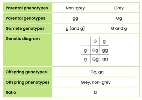 7 1 inheritance flashcards quizlet