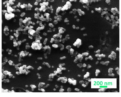 Fe Sem Micrograph Of Hydroxyapatite Powder Cylindrical Shape Length Of