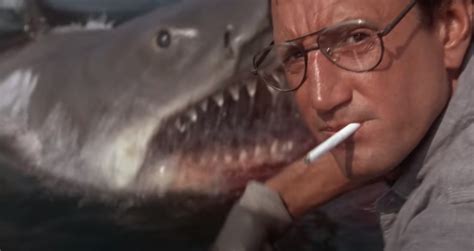 Steven Spielberg Regrets The Impact Jaws Had On Real Sharks — Best Life