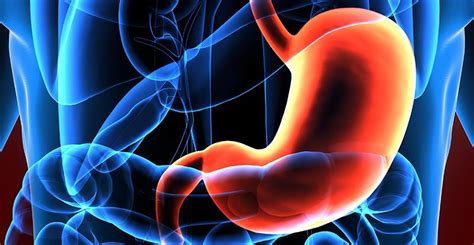 Stomach Disorders Jacksonville Fl New Life Surgical Associates