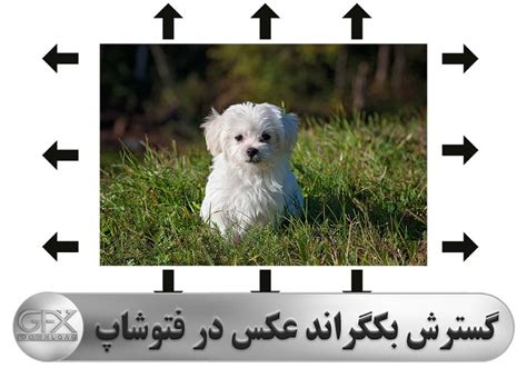 آموزش رایگان گسترش بکگراند عکس در فتوشاپ
