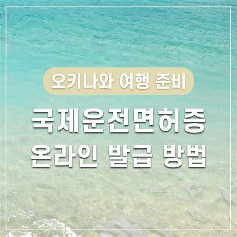 일본 오키나와 여행 준비 국제운전면허증 온라인 발급 방법 네이버 블로그