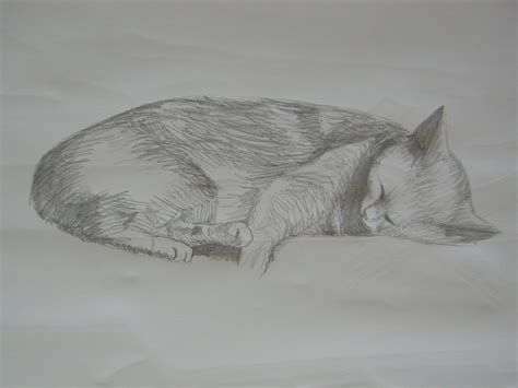 Spike Is Best Sketch Sleeping Cat