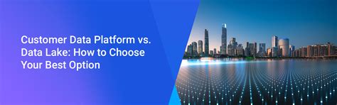 Customer Data Platform Vs Data Lake How To Choose Your Best Option