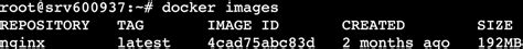 how to run nginx in docker