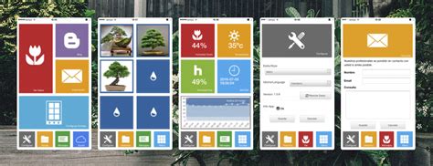 Decsoft Blog Safebonsai App Builders Use Case