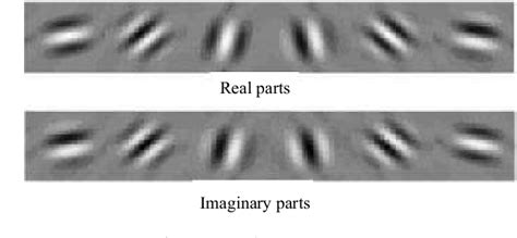 figure 1 from illumination invariant face recognition using dual tree