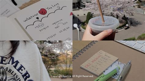 Vlog 벚꽃🌸과 중간고사📓시즌 4월 일상 대학생 브이로그 시험기간 • 교생오티 • 중간고사 Youtube