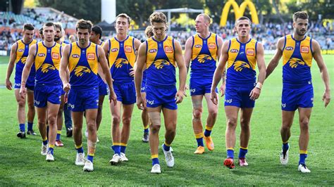 AFL News 2023 West Coast Eagles Injury List Cop It For Asking For