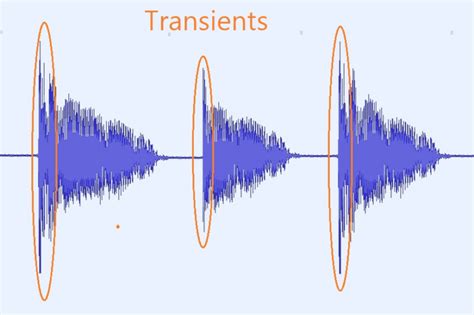 What Are Transients
