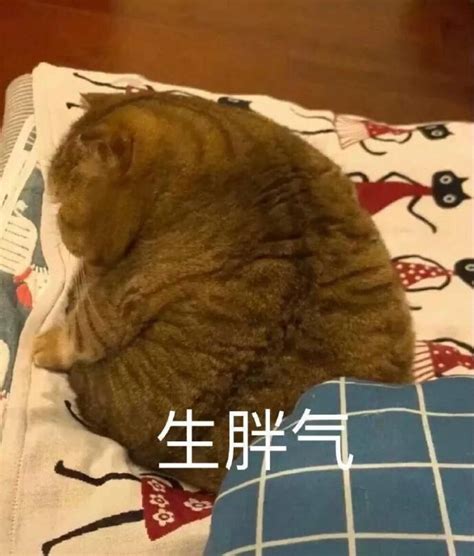 Sci期刊录用后需要多久时间见刊检索？sci录用检索见刊的时间是？论文周期效率