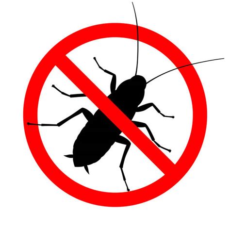 Cockroach Illustrations Royalty Free Vector Graphics And Clip Art Istock