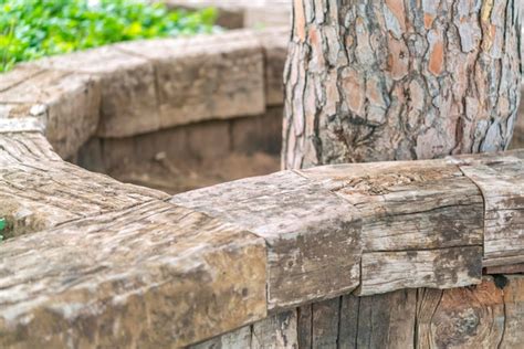 Premium Photo Trunk Of The Tree And Wooden Fence Background
