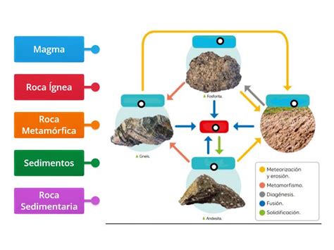 Ciclo De Las Rocas Diagrama Con Etiquetas