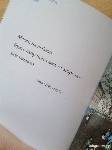 Книга: Бабочки и хризантемы. Японская классическая поэзия IX-XIX веков ...