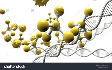 황색분자구조 백색의 Dna 모델 구조 백색의 스톡 일러스트 1988068064 Shutterstock