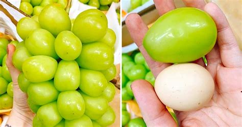 巨人在吃的？比雞蛋大葡萄「一串就要8600元」 內行曝原因：不簡單！ Foody 吃貨