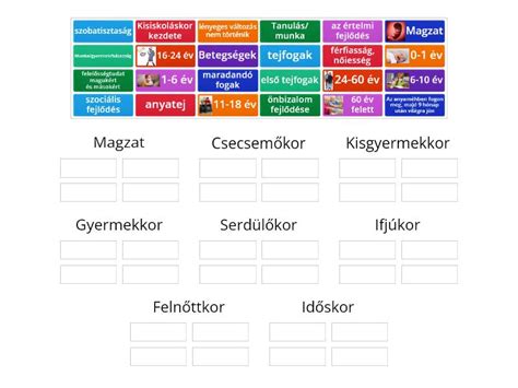 Az ember élet szakaszai Csoportosító