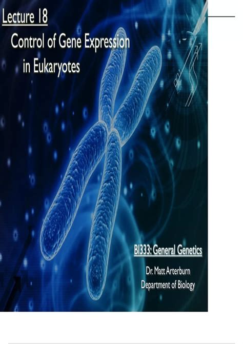 Genetics Chapter 17 Control Of Gene Expression In Eukaryotes Bi 333 Genetics Bi333 Stuvia Us