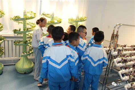 科技带我去远航——西吉二小启用“无土栽培”实验室 西吉县第二小学 人人通空间 宁夏教育资源公共服务平台