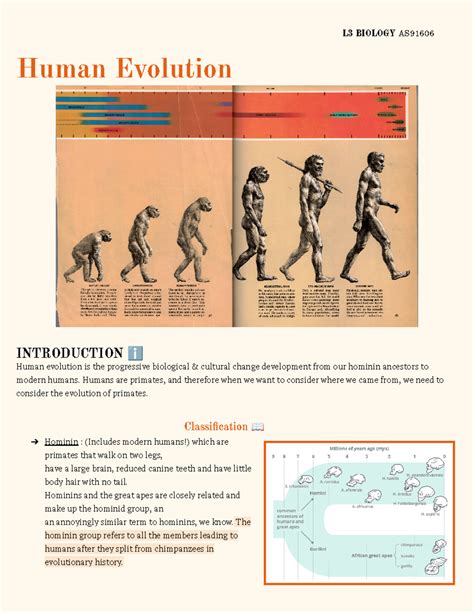 Human Evolution And Speciation E Notes As91606 And As91605 Studocu