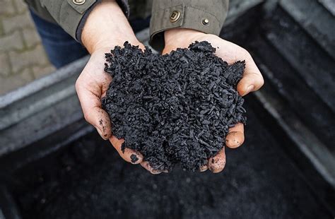 Kohle speichert CO2 und kann als Dünger dienen Lörrach Badische Zeitung