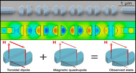 Toroidal Physics