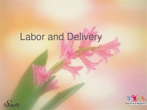 Ppt Labor And Delivery Powerpoint Presentation Free Download Id