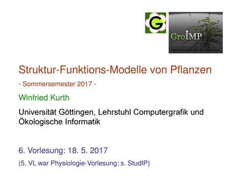 Struktur Funktions Modelle Von Pflanzen Ppt Herunterladen