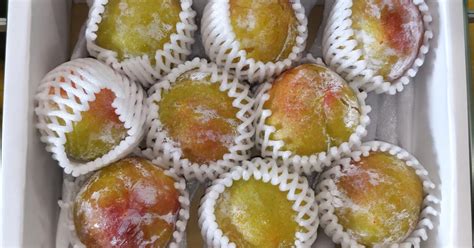 こーちゃんさんが 仲野果樹園 の すもも 秋姫 15～2kg サイズおまかせ についてのごちレポ「美味しそう 」を投稿しました 産直アウル