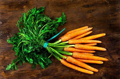 Comment Recycler Les Fanes De Carottes Promesse De Fleurs