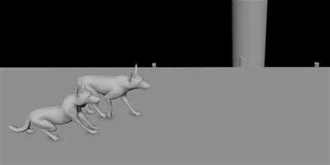 racin pavel on linkedin animation 3danimation animation cycle walk