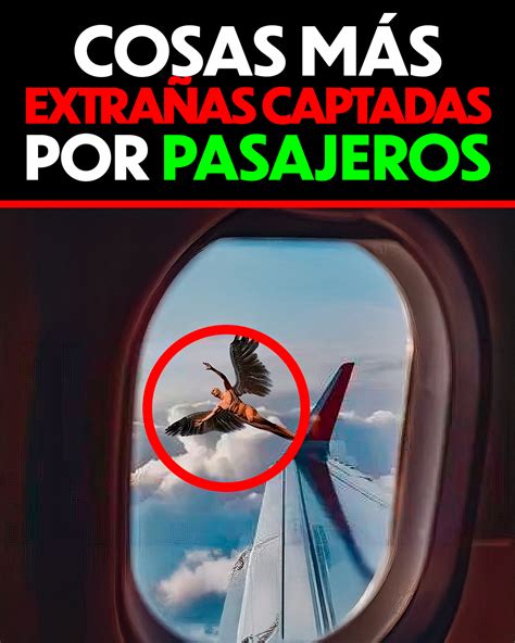 Historias Del Reino Animal