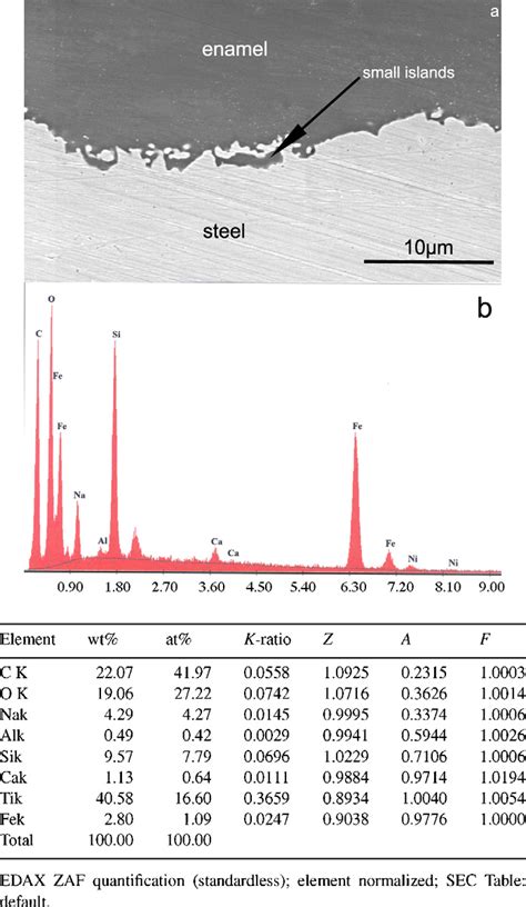 1500× A Cross Sectional Sem Micrographs Of Enamelsteel Interface