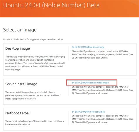 Install Pi Hole In Ubuntu 2404 Lts Virtualization Howto