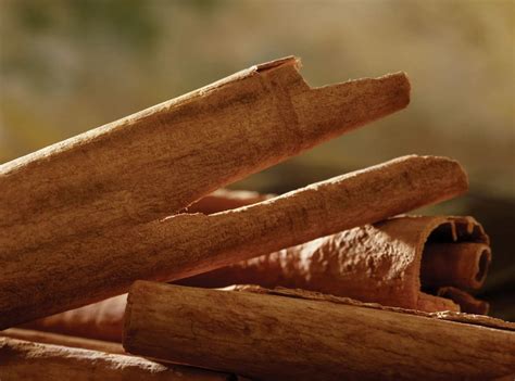 Is Cinnamon Bark Extract The Secret To Stronger Hair Botaniex