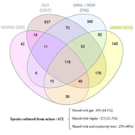 Venn Diagram Showing The Shared Cultured Species Between The Human
