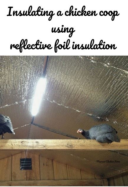 Insulating The Chicken Coop Murano Chicken Farm