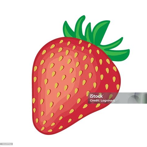 손으로 그린 잘 익은 딸기 잡지 책 포스터 메뉴 표지에 사용되는 신선한 농장 유기농 베리의 벡터 일러스트 건강한 생활방식에 대한