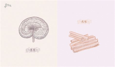 原创植物插画妖怪先生youkai 站酷zcool