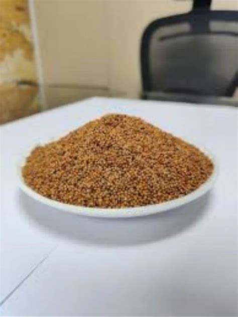 Cassia Tora Seeds At Rs 150kg Herbal Extracts In Surat Id