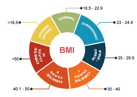 Bmi Calculator