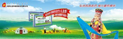 内蒙古孟和制药股份有限公司
